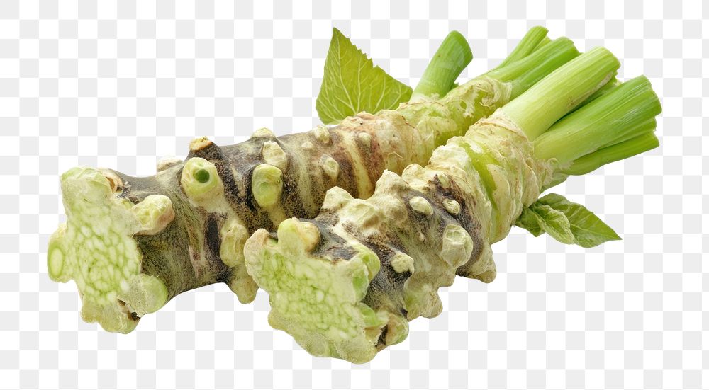 PNG wasabi root vegetable roots | Free PNG - rawpixel