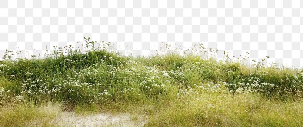 PNG Meadow hills outdoors scenery | Premium PNG - rawpixel