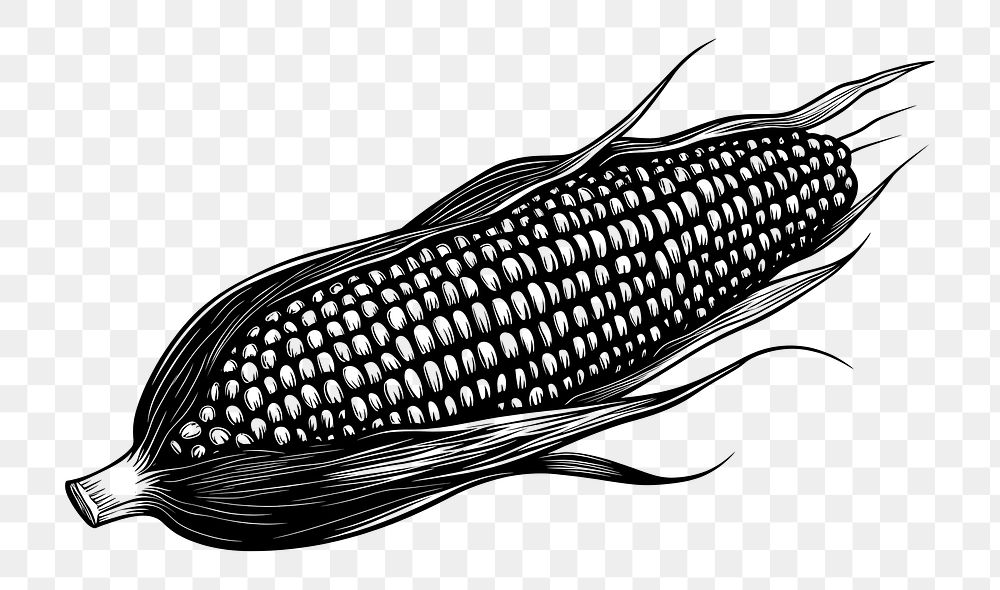PNG Simple corn linear illustration | Free PNG - rawpixel