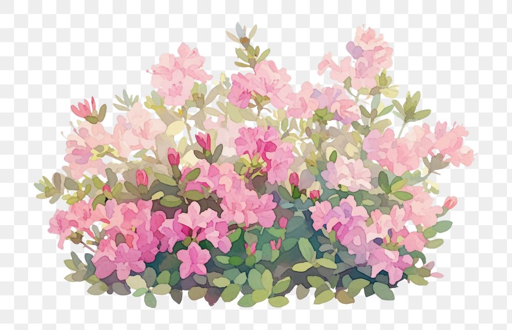 PNG Azalea Bush art illustration | Free PNG - rawpixel