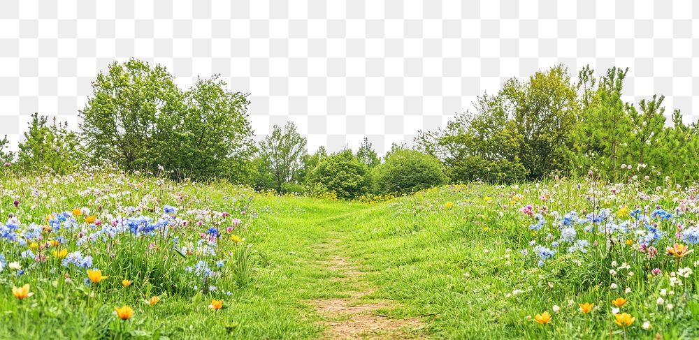 PNG Real park dirt path | Free PNG - rawpixel