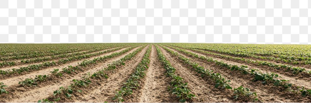 Agricultural Field PNG Images | Free Photos, PNG Stickers, Wallpapers ...