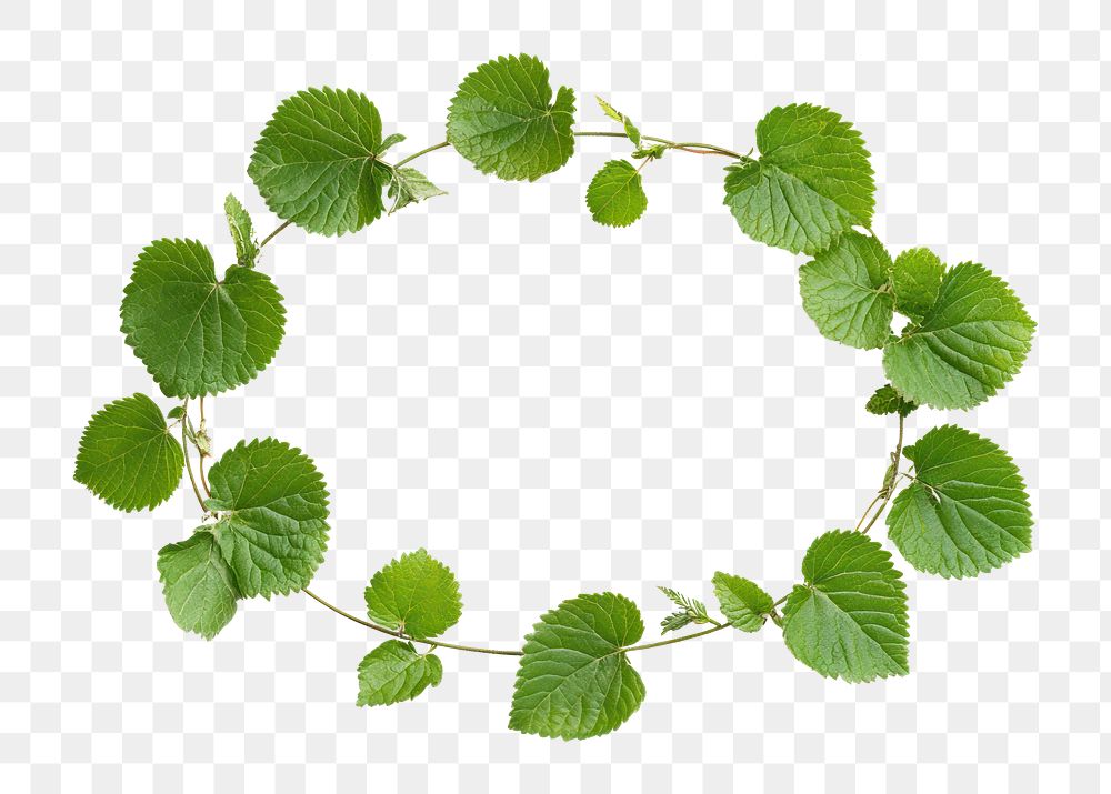 PNG Green leaves frame border | Free PNG - rawpixel