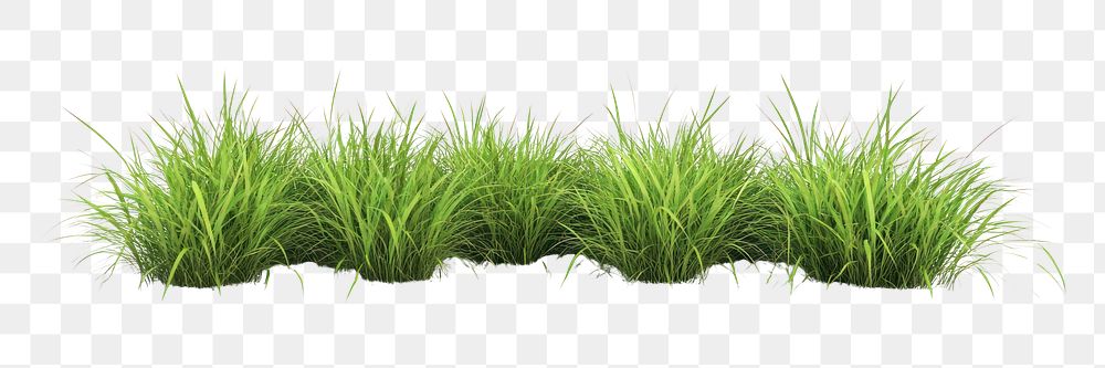 PNG Grass Borders free grass | Free PNG - rawpixel
