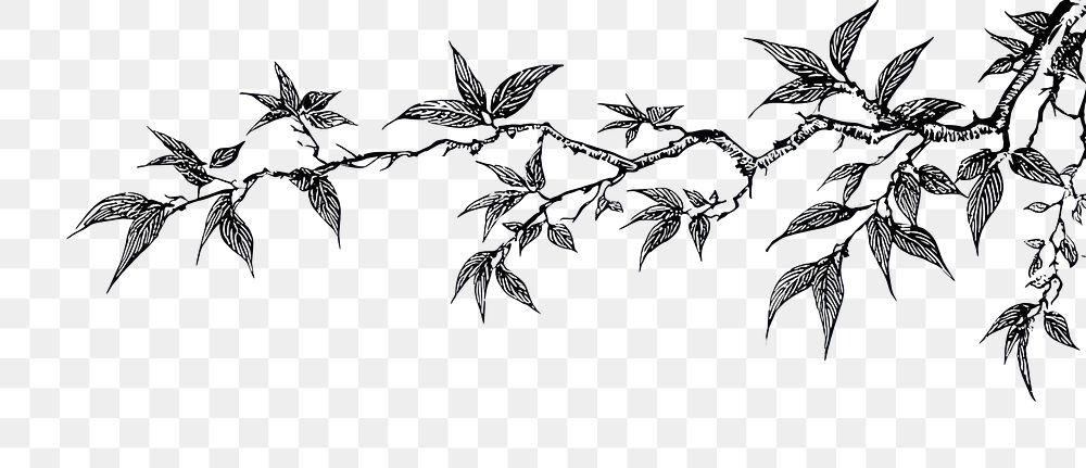 Drawing+of+traditional Black Art Images | Free Photos, PNG Stickers ...