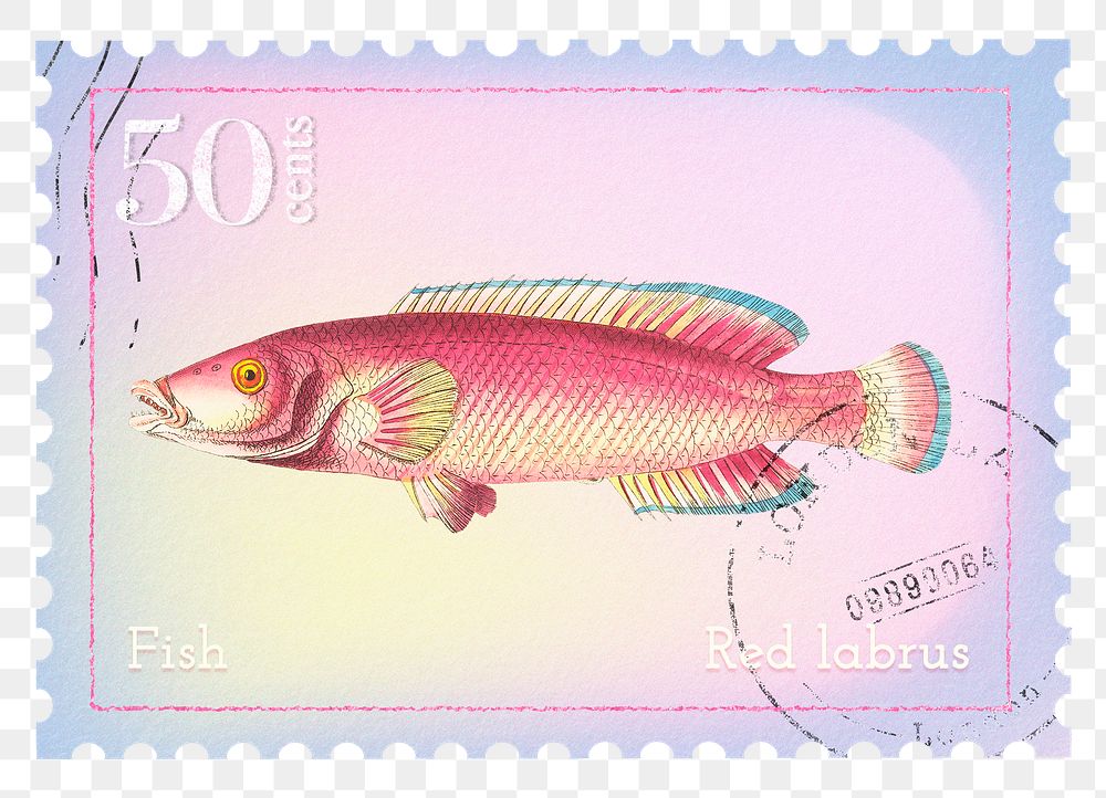 Fish png post stamp sticker, | Premium PNG - rawpixel