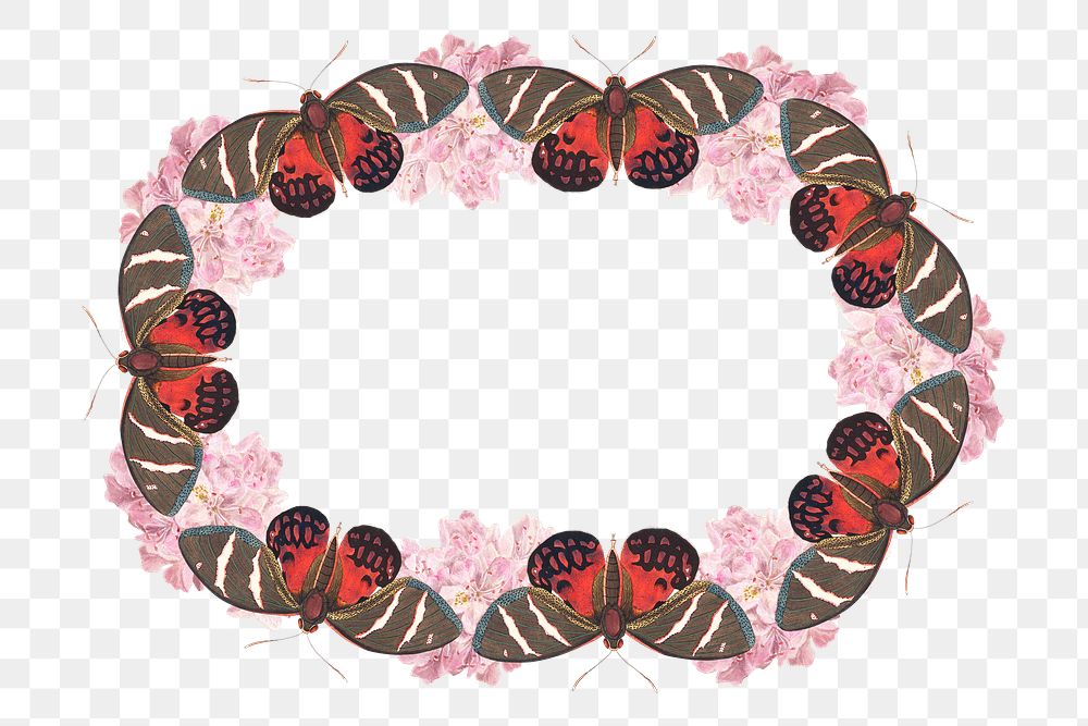 Exotic butterfly frame png sticker | Premium PNG - rawpixel