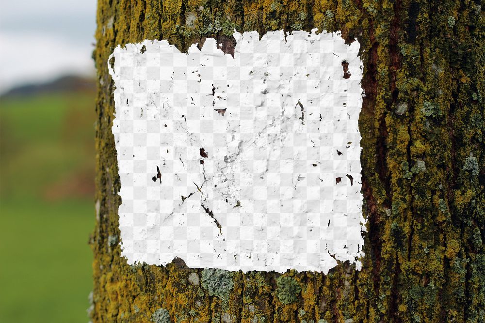 Tree sign png mockup, transparent | Free PNG - rawpixel