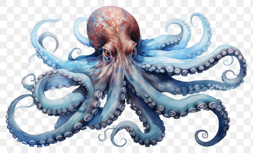 PNG Octopus animal white background | Premium PNG - rawpixel