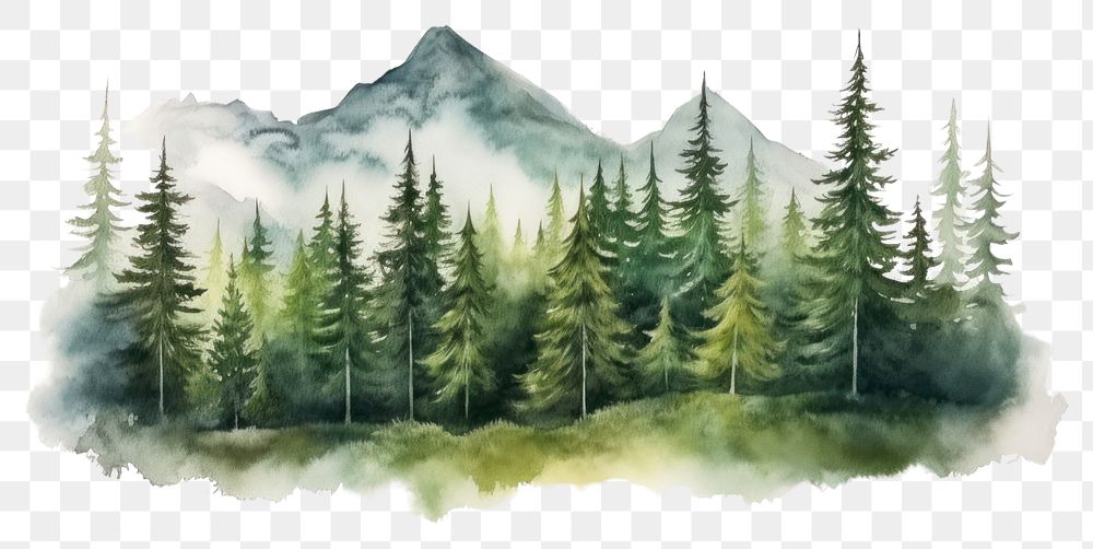 PNG Wilderness landscape outdoors woodland | Premium PNG - rawpixel