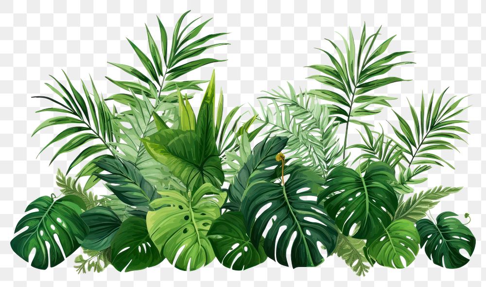 PNG Vegetation outdoors nature plant | Premium PNG - rawpixel