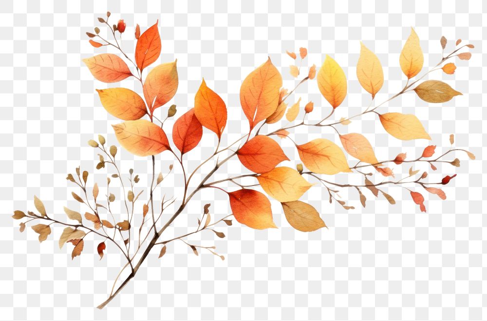 PNG Pattern autumn plant leaf. | Free PNG - rawpixel