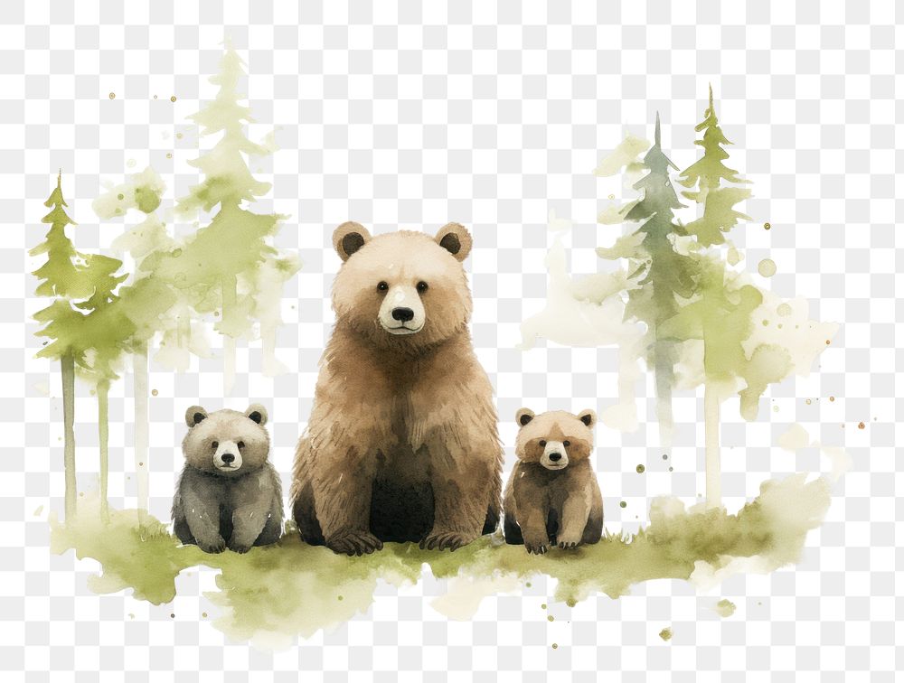 PNG Bear wildlife mammal animal. | Premium PNG - rawpixel