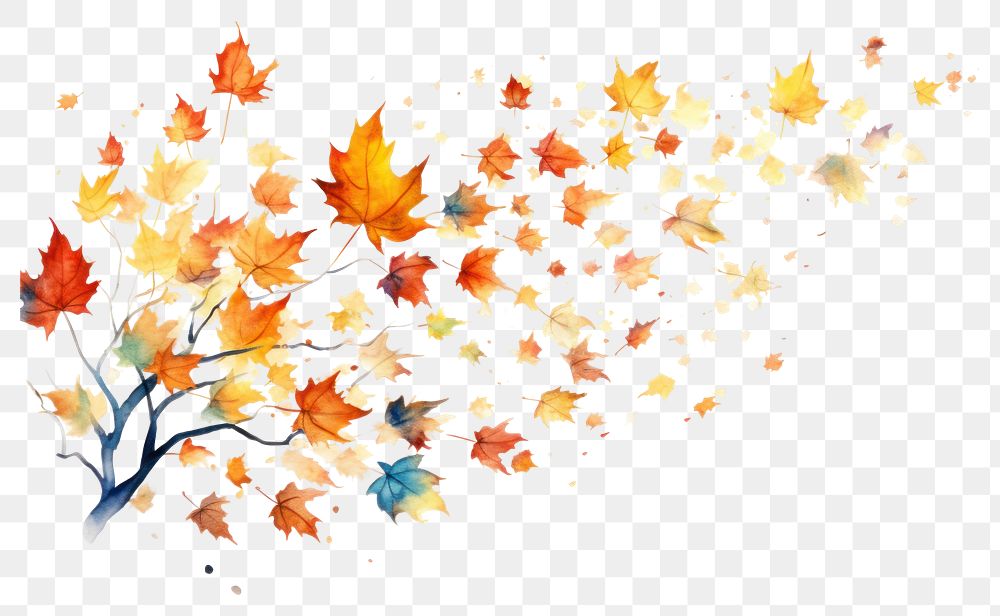 PNG Falling leaves maple plant | Premium PNG - rawpixel