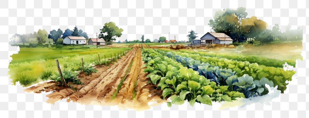 PNG Agriculture landscape outdoors nature. | Free PNG - rawpixel