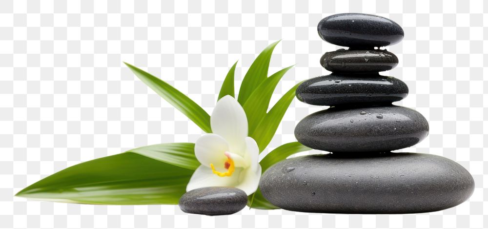 PNG Flower plant spa relaxation. | Premium PNG - rawpixel