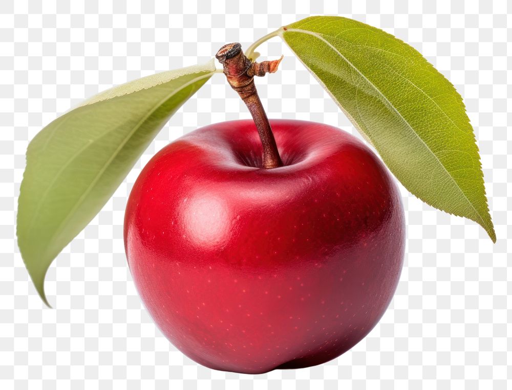 PNG Apple fruit plant food | Free PNG - rawpixel