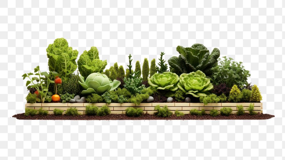 PNG Vegetable garden nature plant. | Premium PNG - rawpixel