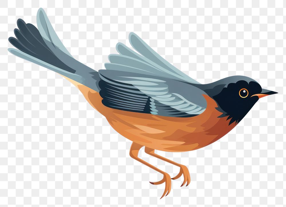 PNG American robin bird animal | Premium PNG - rawpixel