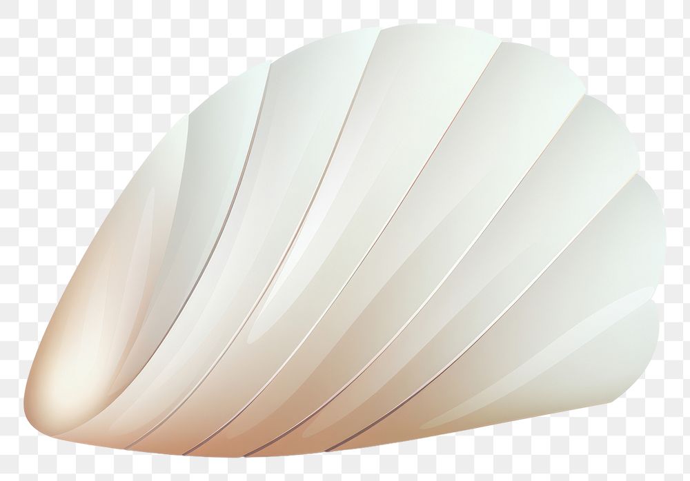 PNG Shell clam white background | Free PNG - rawpixel