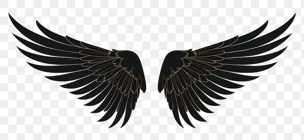PNG Wings vulture condor flying. | Premium PNG - rawpixel