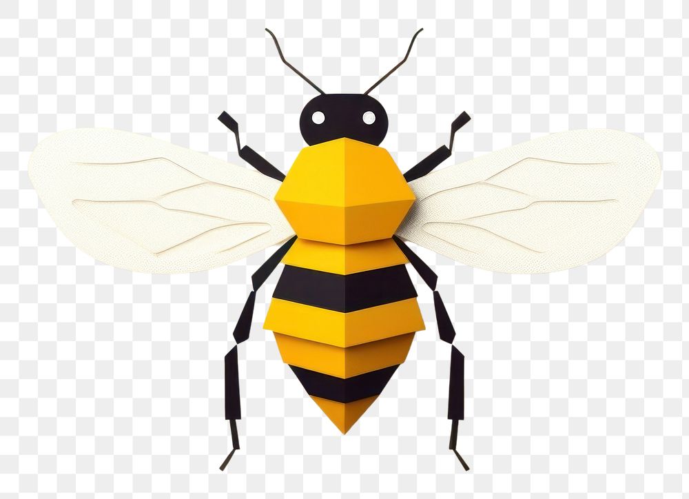 PNG Bee bee animal insect. | Premium PNG - rawpixel