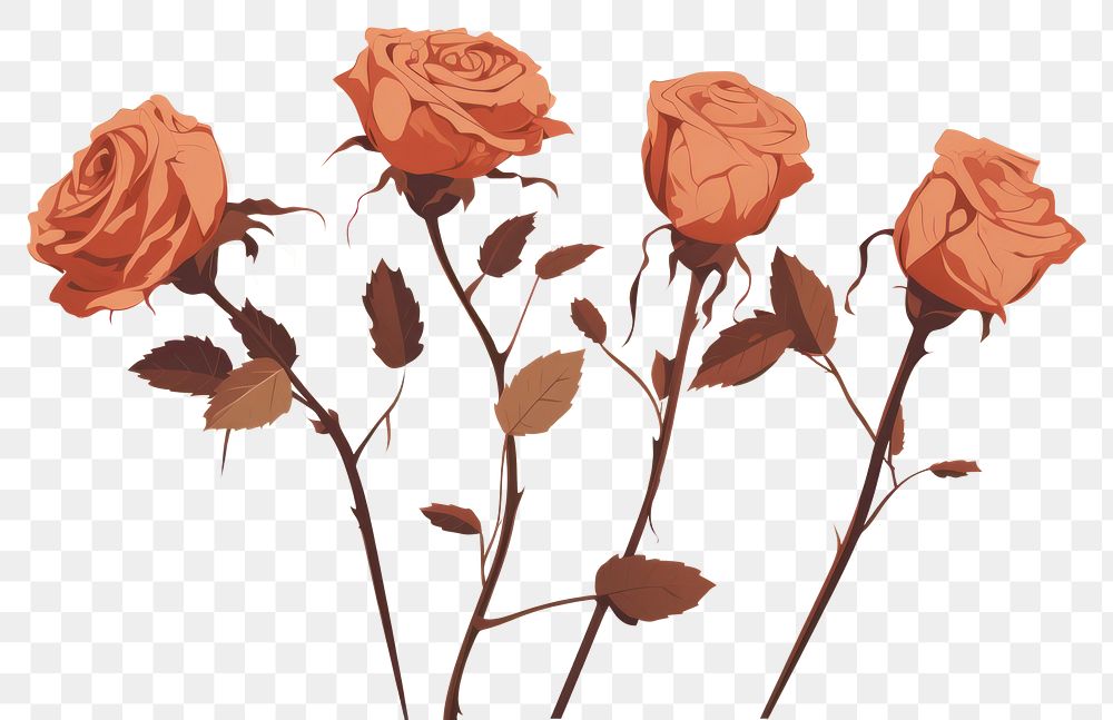 PNG Dried roses flower plant | Free PNG - rawpixel