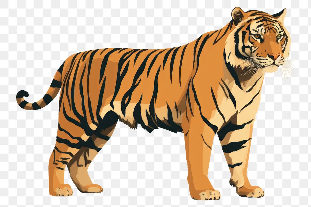 PNG Tiger wildlife tiger animal. | Premium PNG - rawpixel