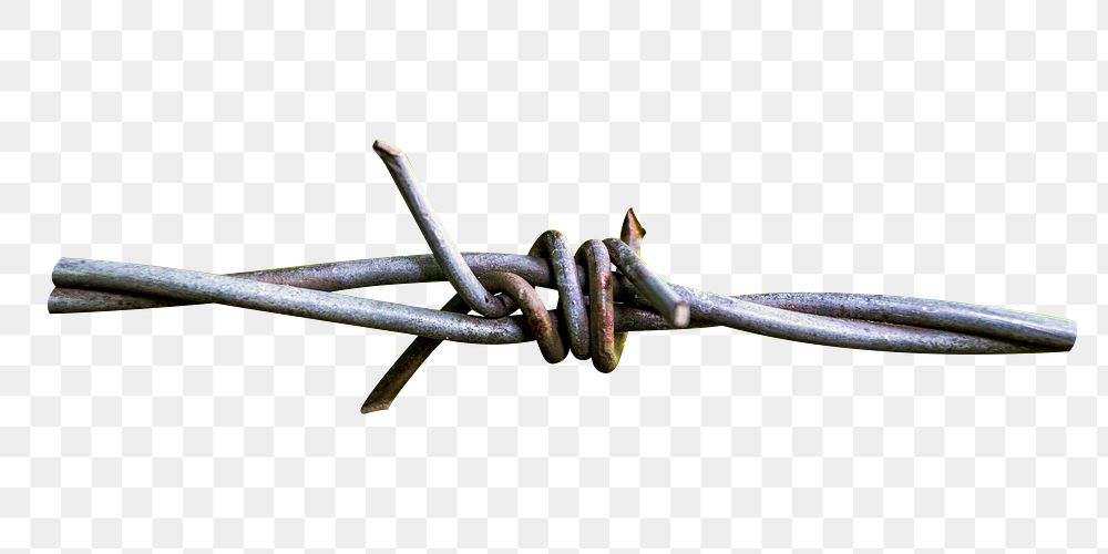 Barbed wire fence png, transparent | Free PNG - rawpixel