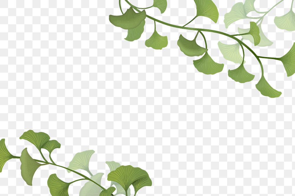 Green leaf png border, transparent | Premium PNG - rawpixel