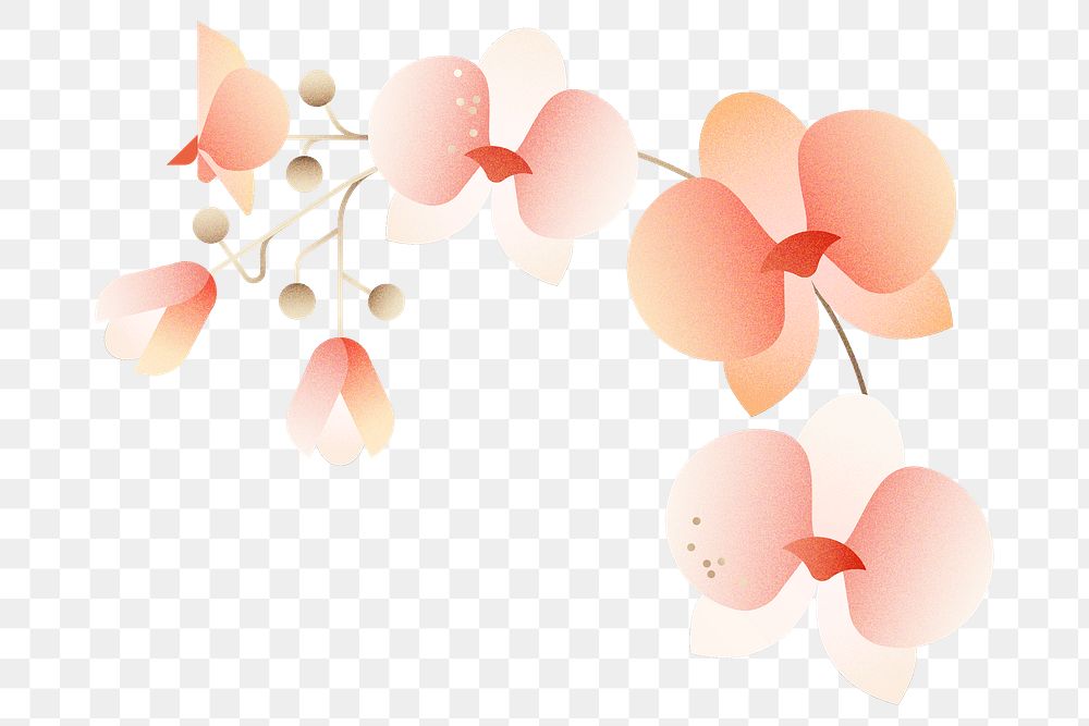 Png geometric orchid flower illustration, | Premium PNG - rawpixel