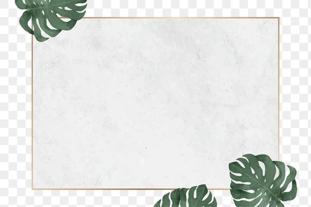 Png minimal botanical frame, transparent | Free PNG - rawpixel