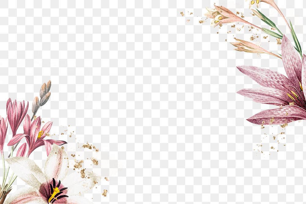 Flower png border, transparent background | Free PNG - rawpixel