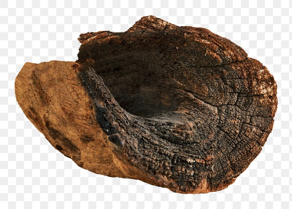 Bark Background Images | Free Photos, PNG Stickers, Wallpapers ...