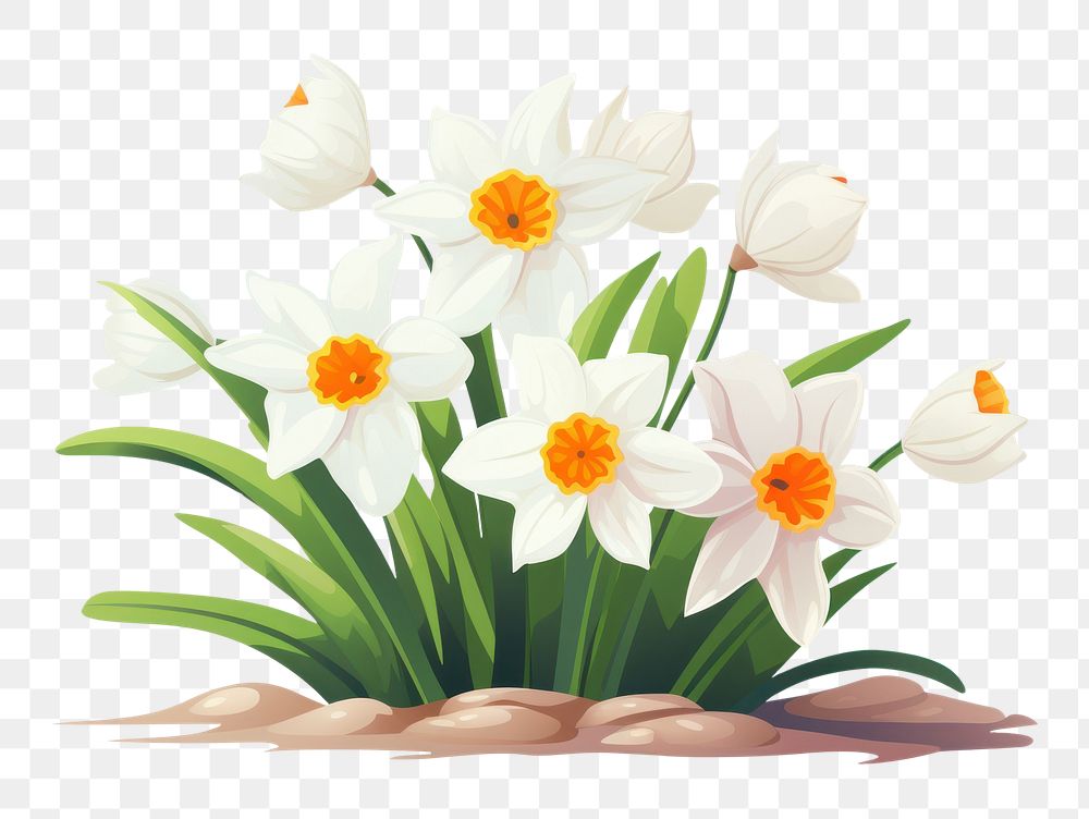PNG spring flower plant white | Free PNG - rawpixel