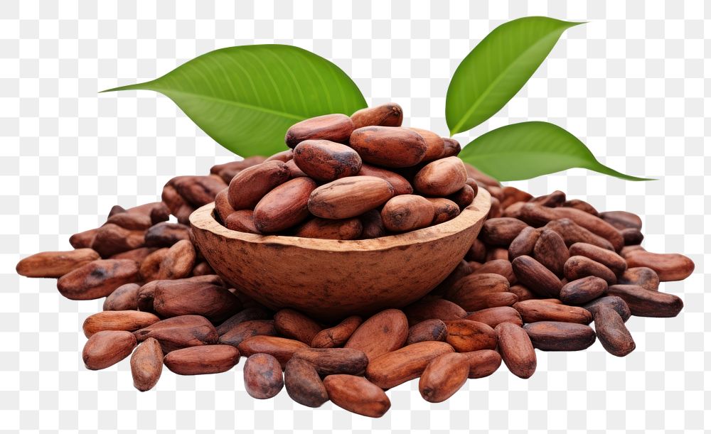 PNG Cocoa food freshness. | Premium PNG - rawpixel