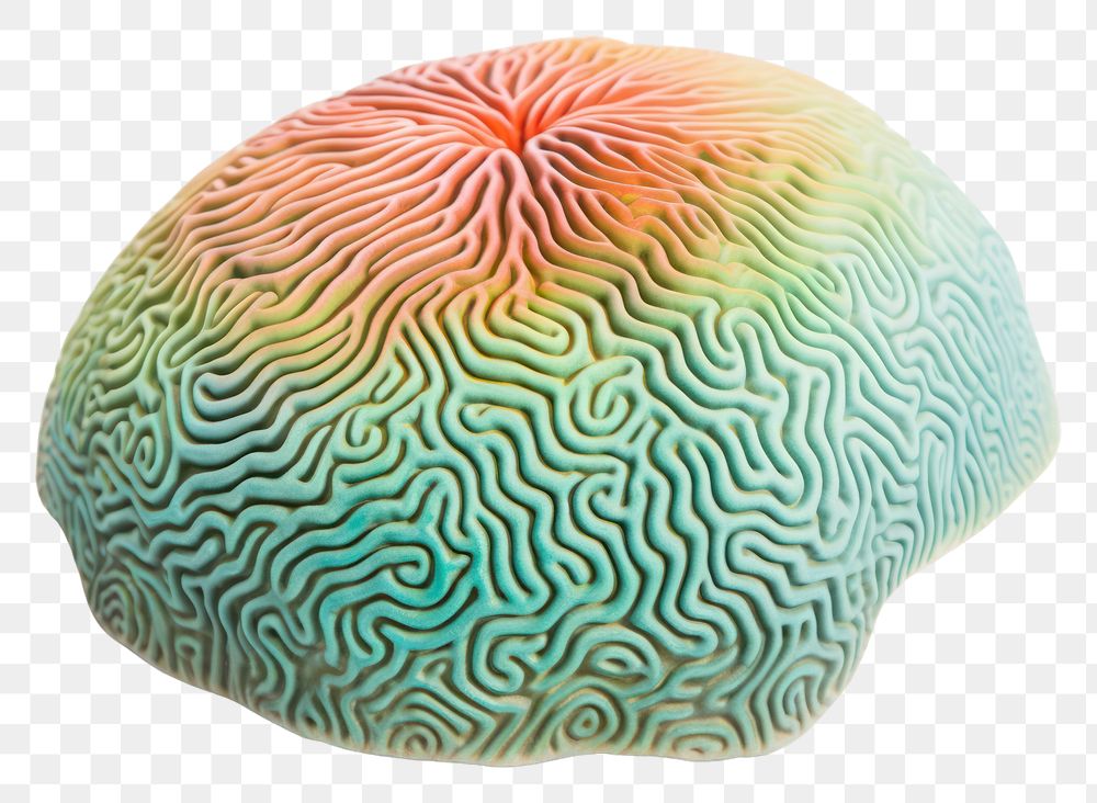 Breading+ocean+ Animal Images | Free Photos, PNG Stickers, Wallpapers ...