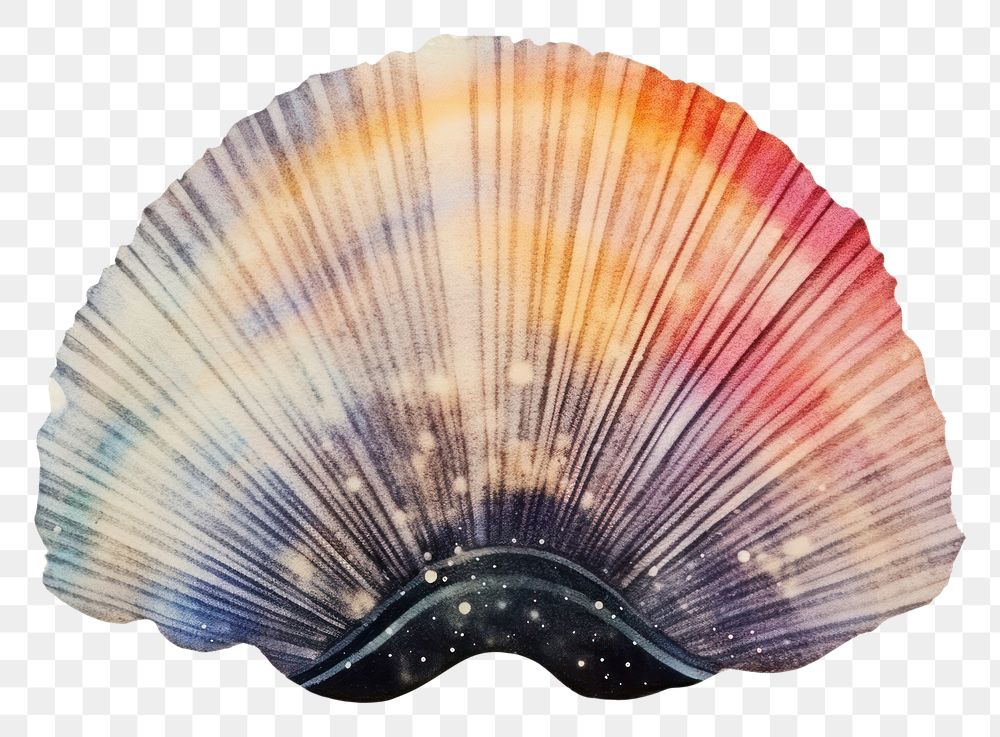 PNG Shell galaxy invertebrate creativity | Premium PNG - rawpixel