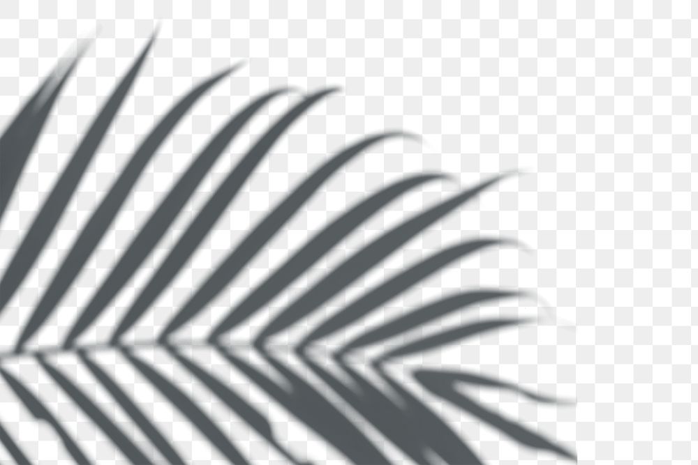 PNG Leaf shadow effect, transparent | Premium PNG - rawpixel