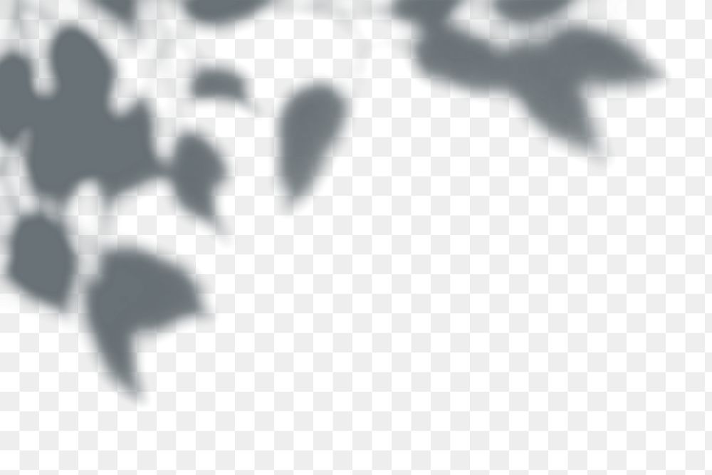 PNG Leaf shadow effect, transparent | Premium PNG - rawpixel