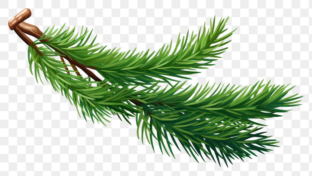 PNG fir branch plant tree | Premium PNG - rawpixel
