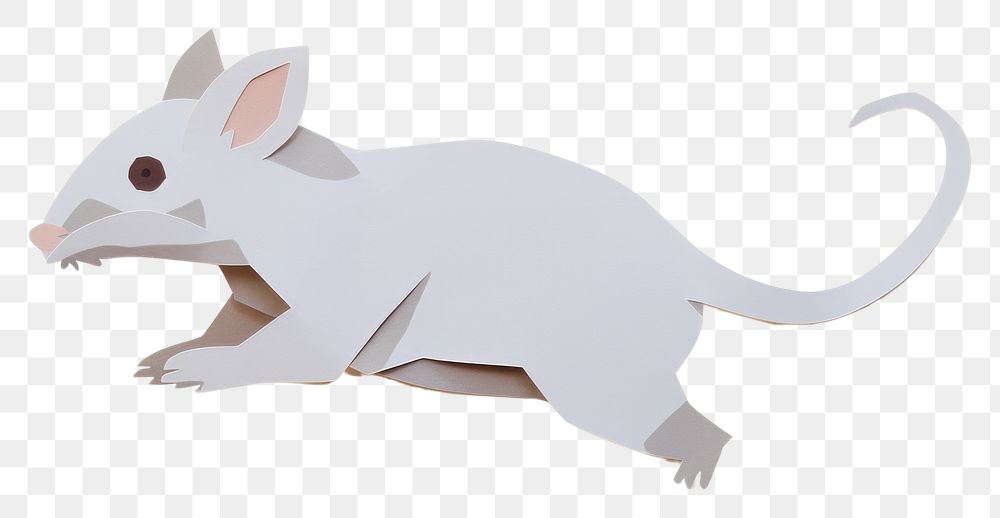 PNG Animal running mammal rat | Free PNG - rawpixel