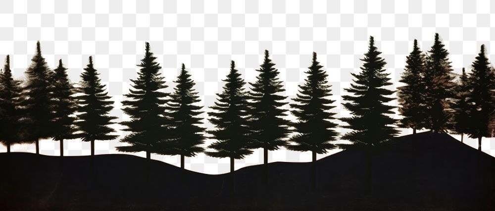 PNG Night tree astronomy outdoors. | Free PNG - rawpixel