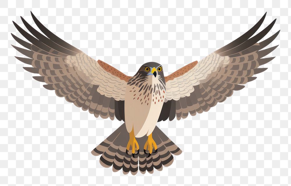 Buzzard vulture animal bird. AI | Free PNG - rawpixel