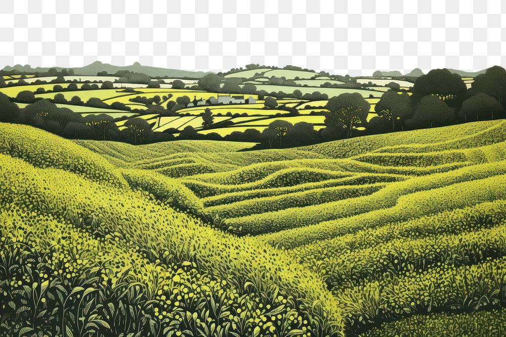PNG Field agriculture landscape grassland. | Premium PNG - rawpixel