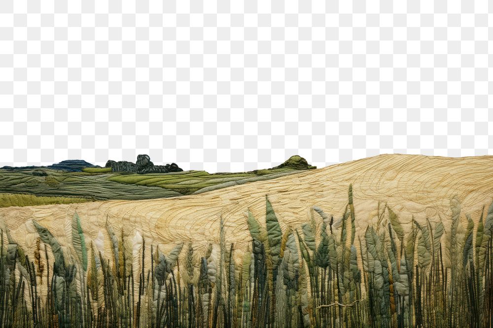 PNG Minimal corn field landscape | Premium PNG - rawpixel
