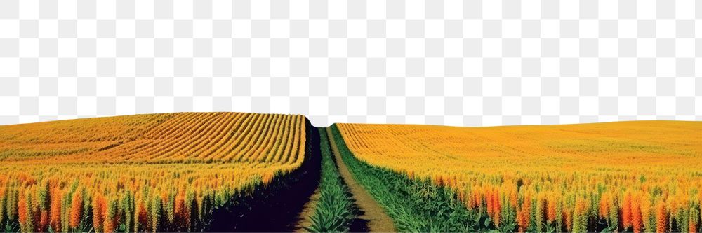 PNG Field sky landscape outdoors. | Free PNG - rawpixel