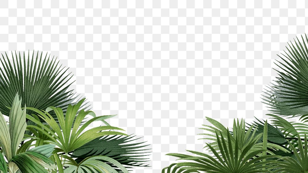 PNG Jungle border, transparent background | Premium PNG - rawpixel