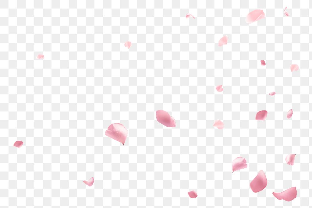 PNG Floating flower petals effect, | Premium PNG - rawpixel