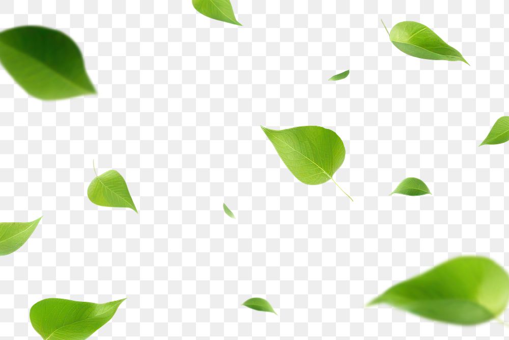 PNG Falling green leaf effect, | Premium PNG - rawpixel